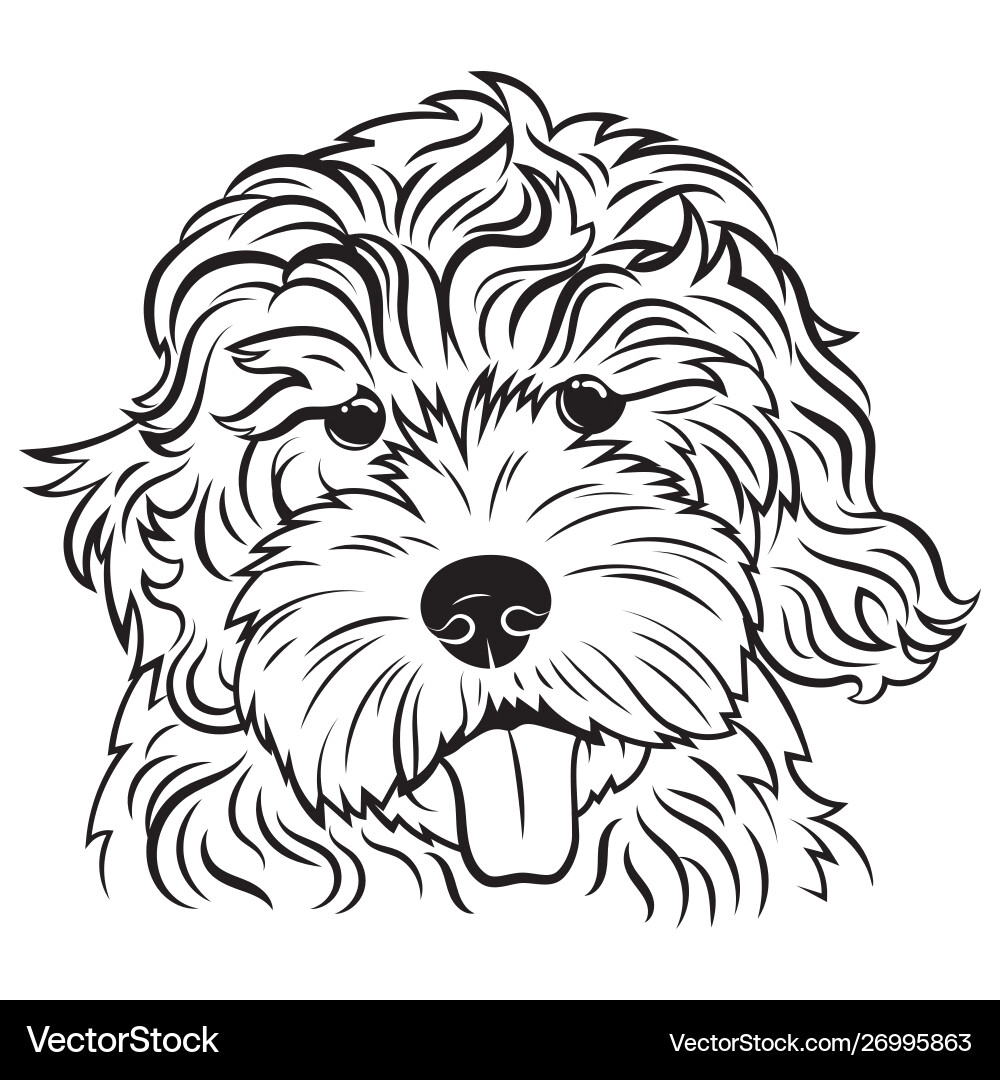 Golden Doodle Portrait Royalty Free Vector Image