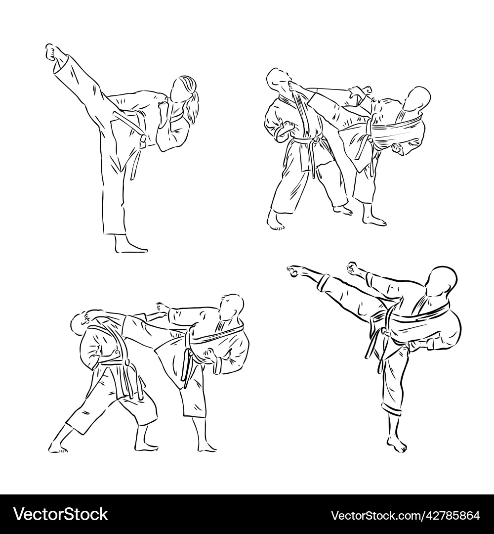 Karate fighter Royalty Free Vector Image - VectorStock