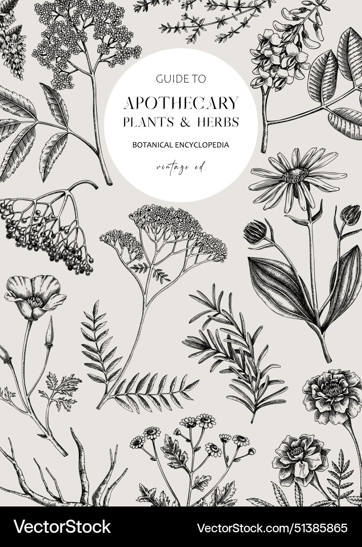 Apothecary label design template witchcraft Vector Image