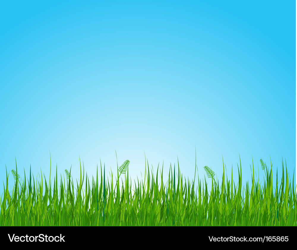 Grassy field Royalty Free Vector Image - VectorStock