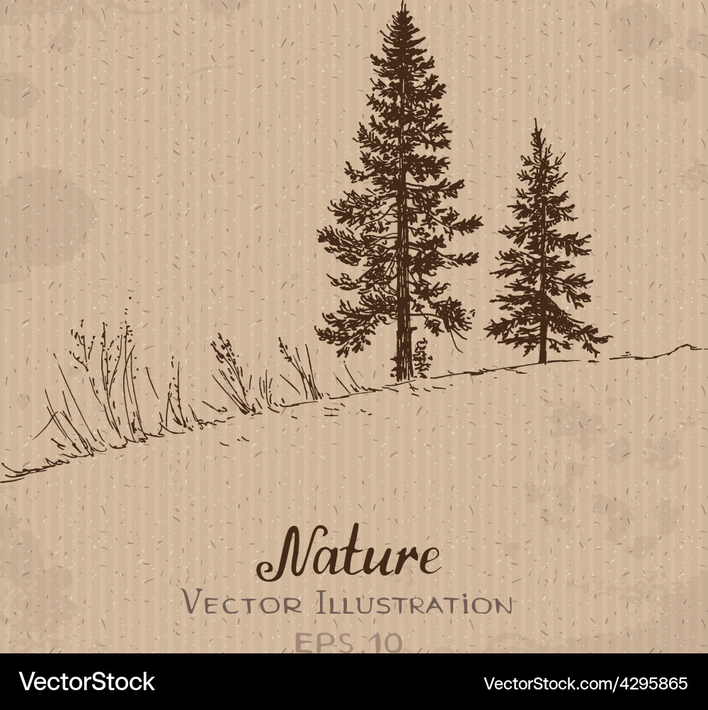 Free Pine Tree Vector Images (over 5,400)