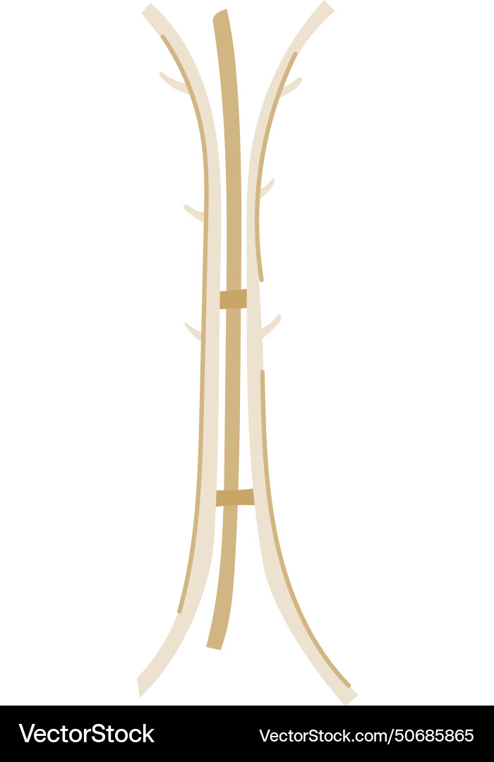 Spacious coat rack cartoon Royalty Free Vector Image