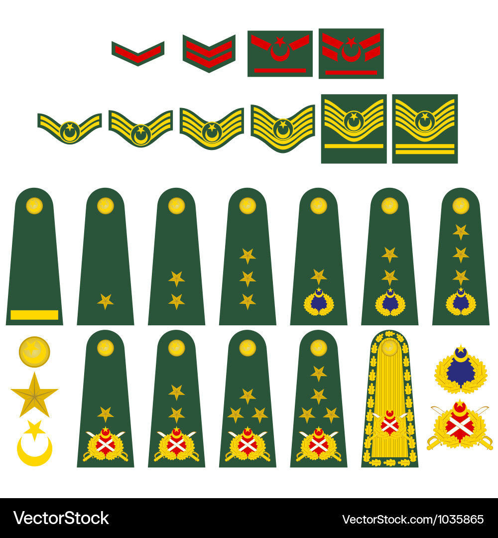 Turkish army insignia Royalty Free Vector Image