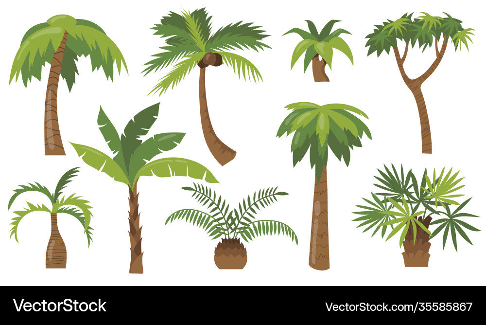 Verschiedene Cartoon Palmen flache Ikone Set Vektorbild