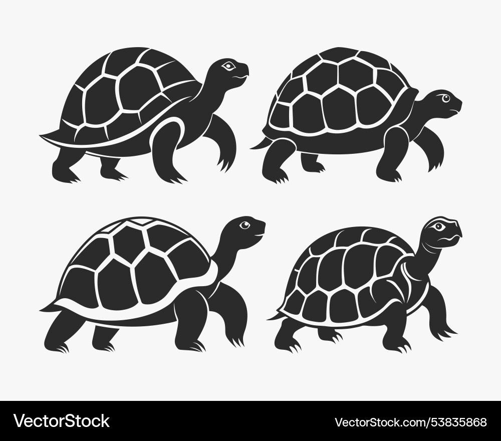 Tortoise silhouette Royalty Free Vector Image - VectorStock