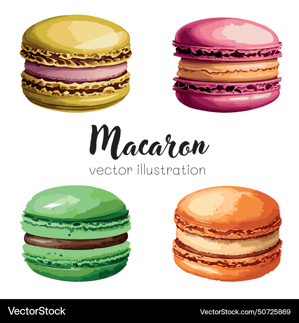 Macarons Royalty Free Vector Image - VectorStock