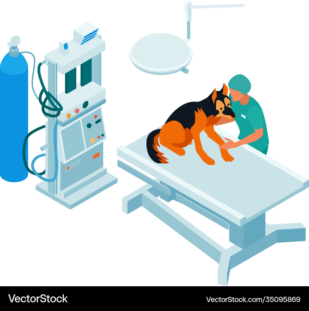 Veterinary surgery room composition Royalty Free Vector