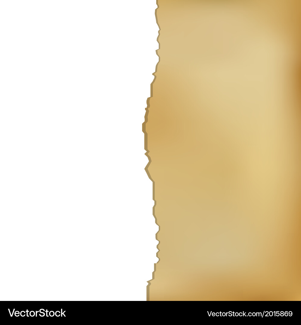 Vintage paper Royalty Free Vector Image - VectorStock