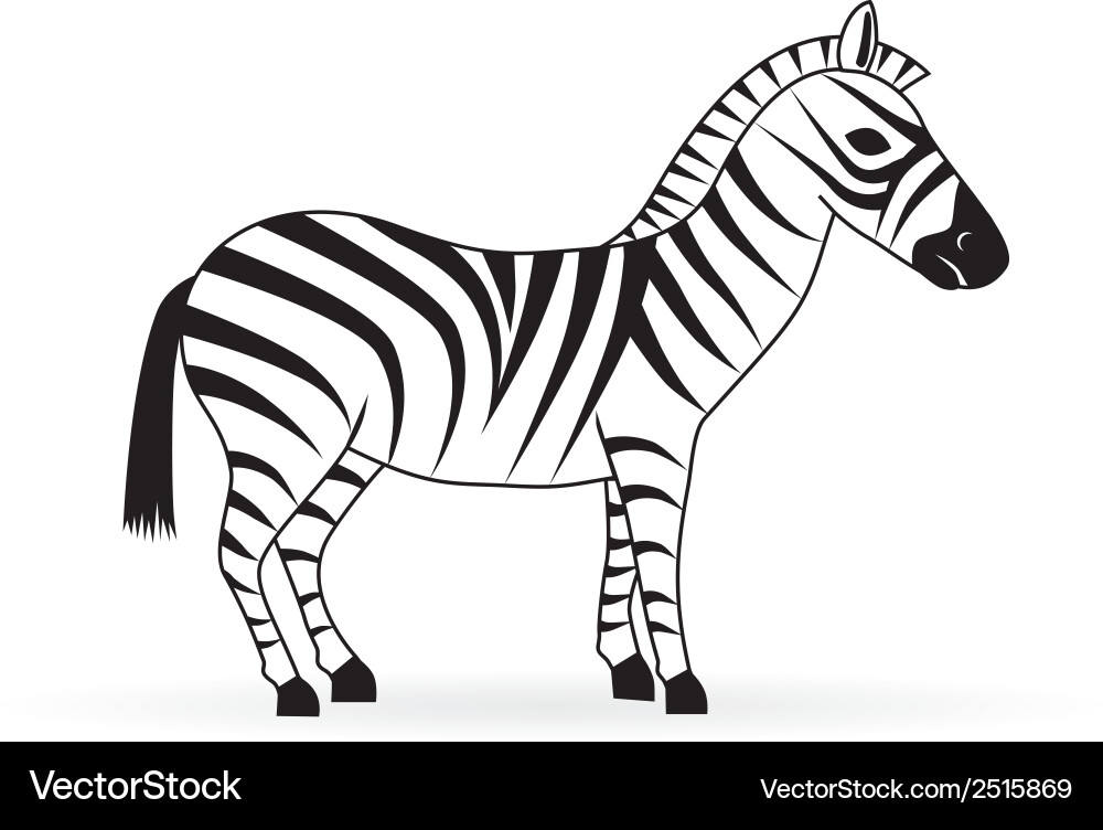 Zebra Royalty Free Vector Image - VectorStock