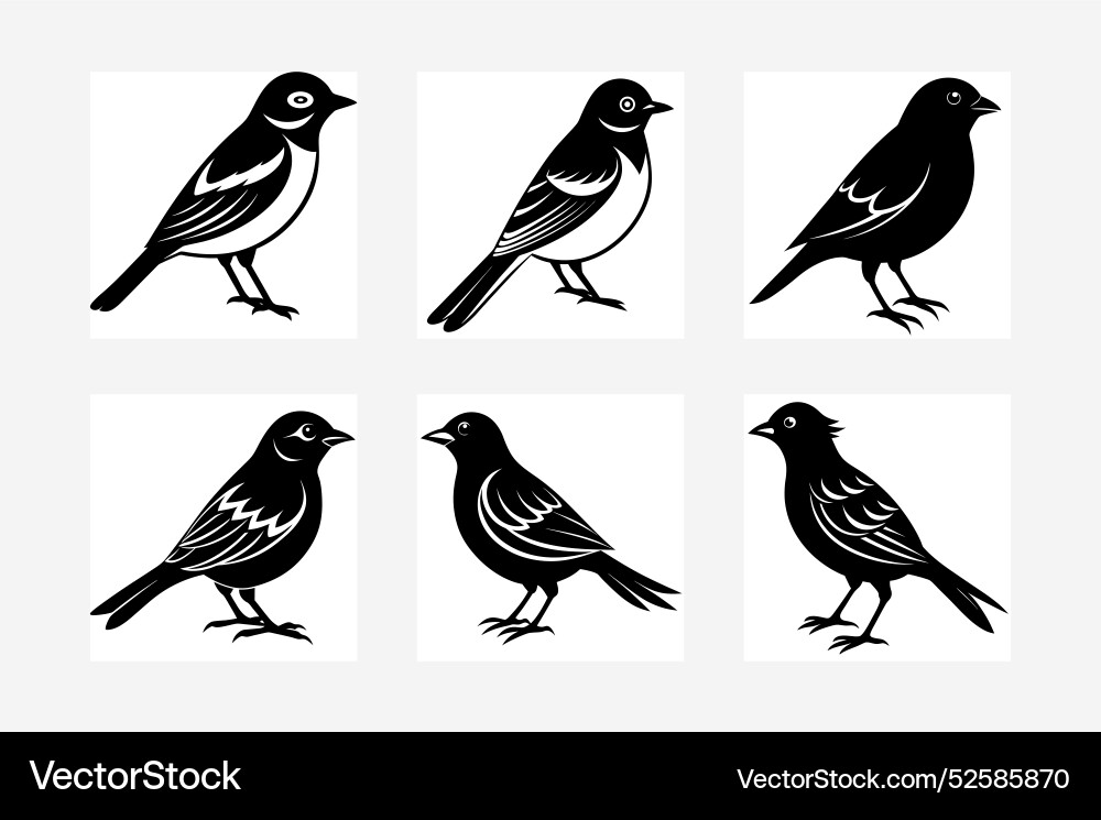 Birds design Royalty Free Vector Image - VectorStock