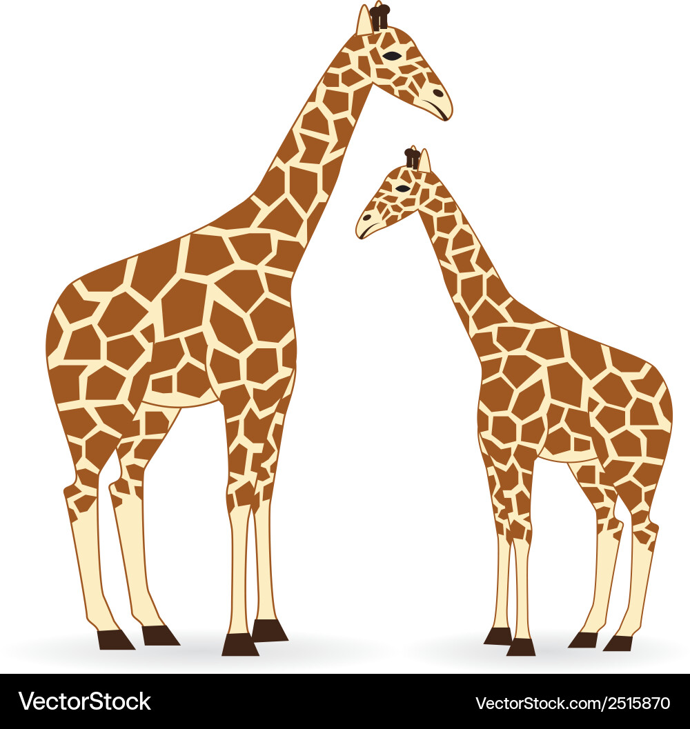 Giraffe Royalty Free Vector Image - VectorStock