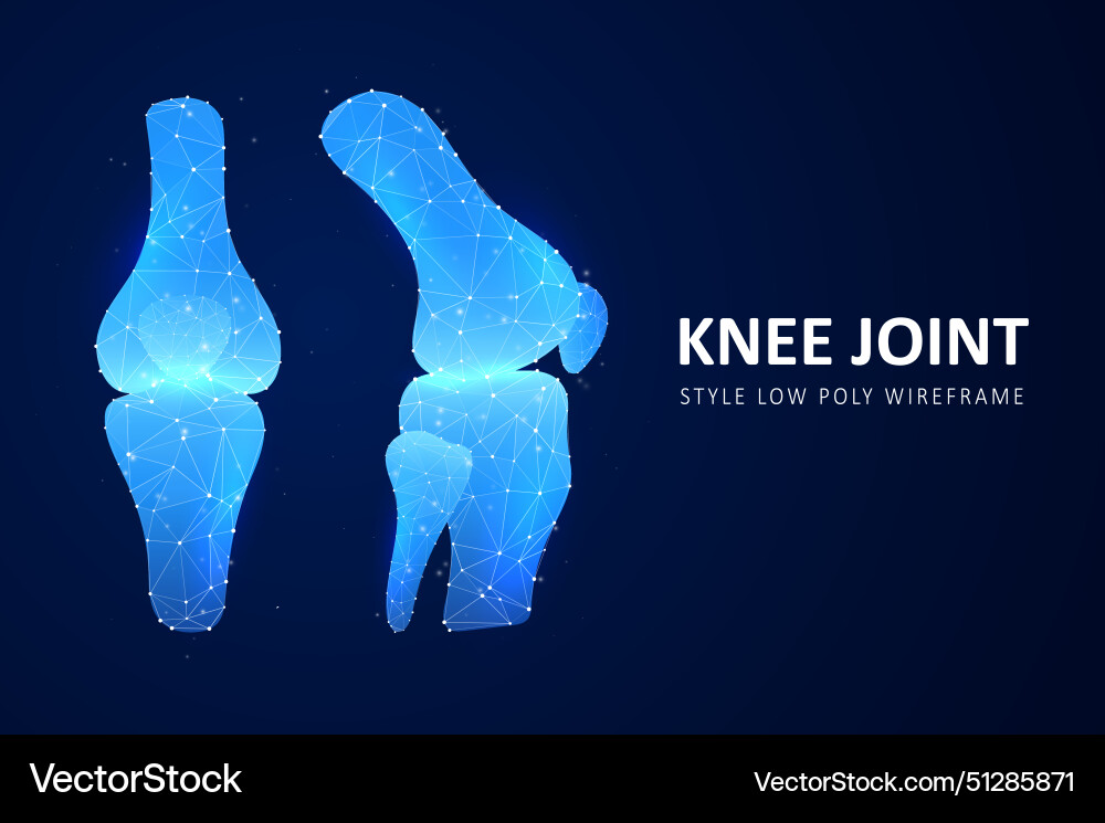 Abstract polygonal knee-joint Royalty Free Vector Image