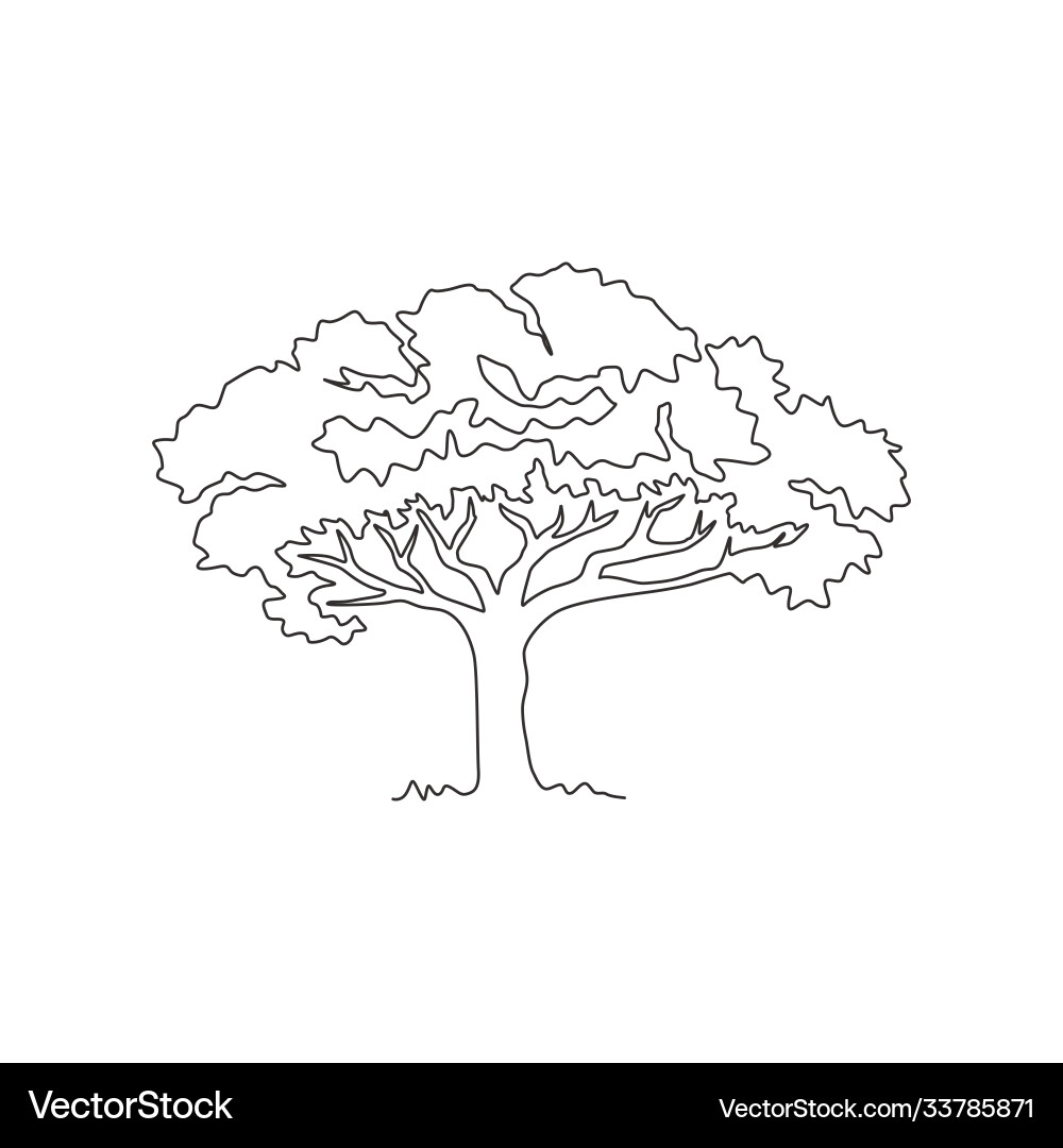 Single Line Marula Tree Royalty Free Vector Image