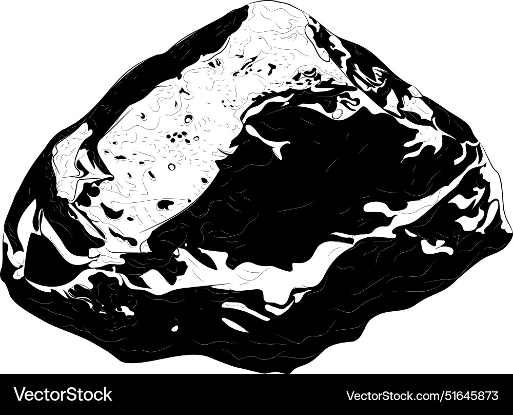 Shape of natural gold nugget Royalty Free Vector Image