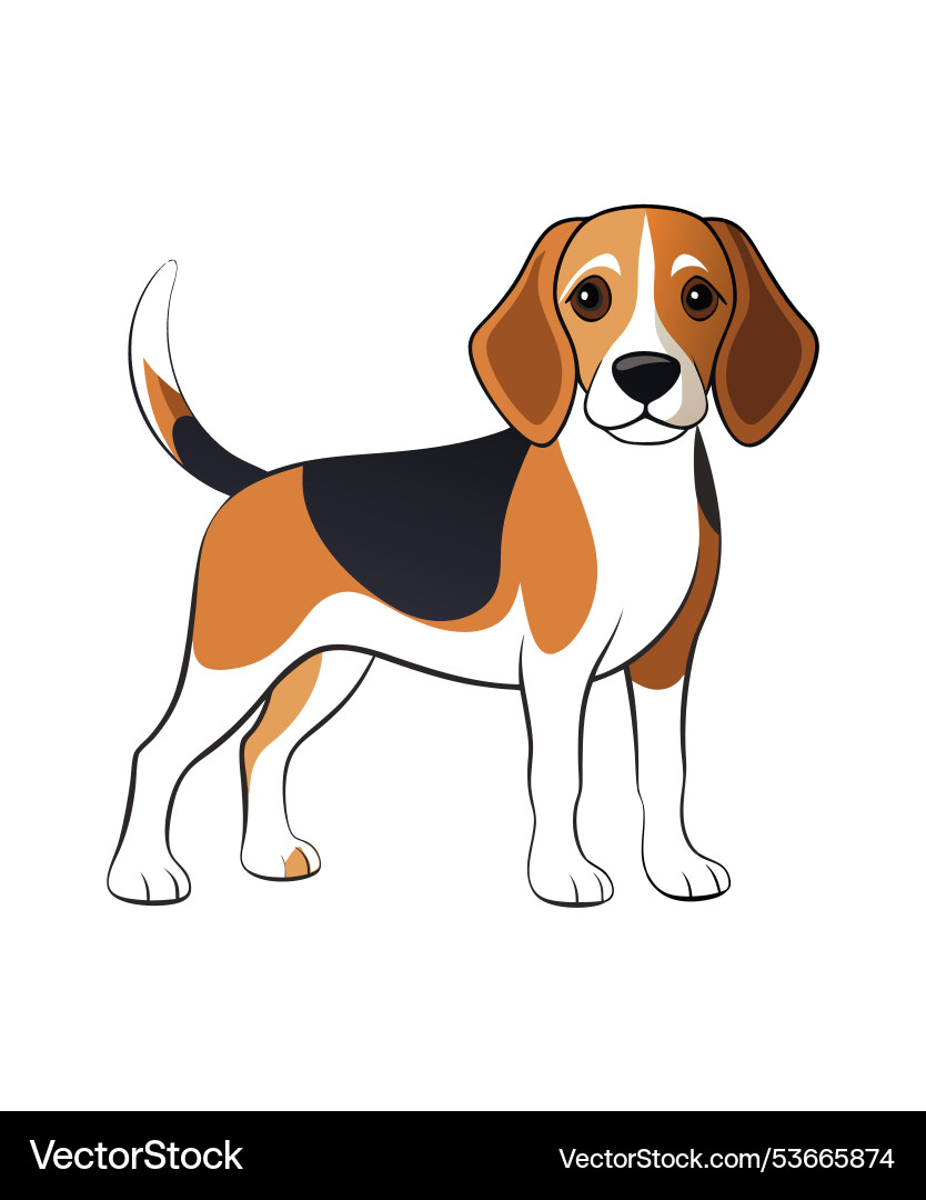 Beagle energetic and loyal tracker Royalty Free Vector Image
