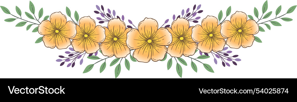 Floral divider colorful flower Royalty Free Vector Image