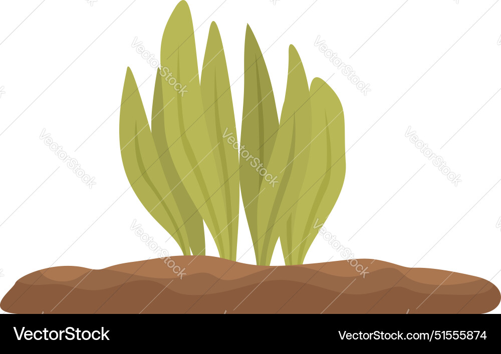 Green grass growing from the ground on white Vector Image