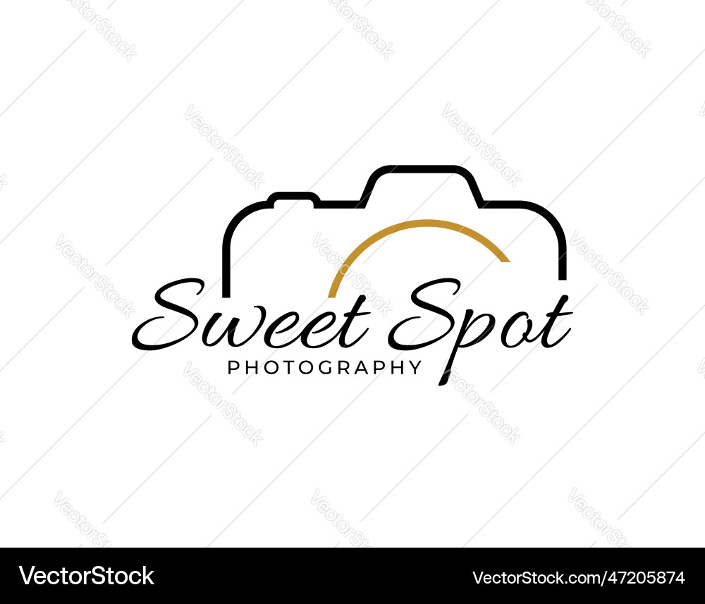 Simple modern photography logo design template Vector Image