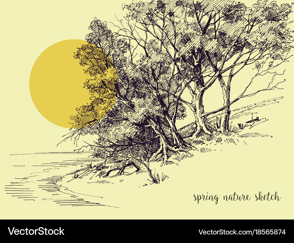 Woods Path Sketch Royalty Free Vector Image - VectorStock