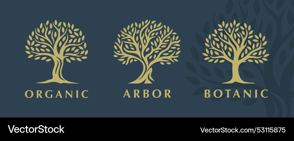 Elegant botanical tree logo emblem set Royalty Free Vector