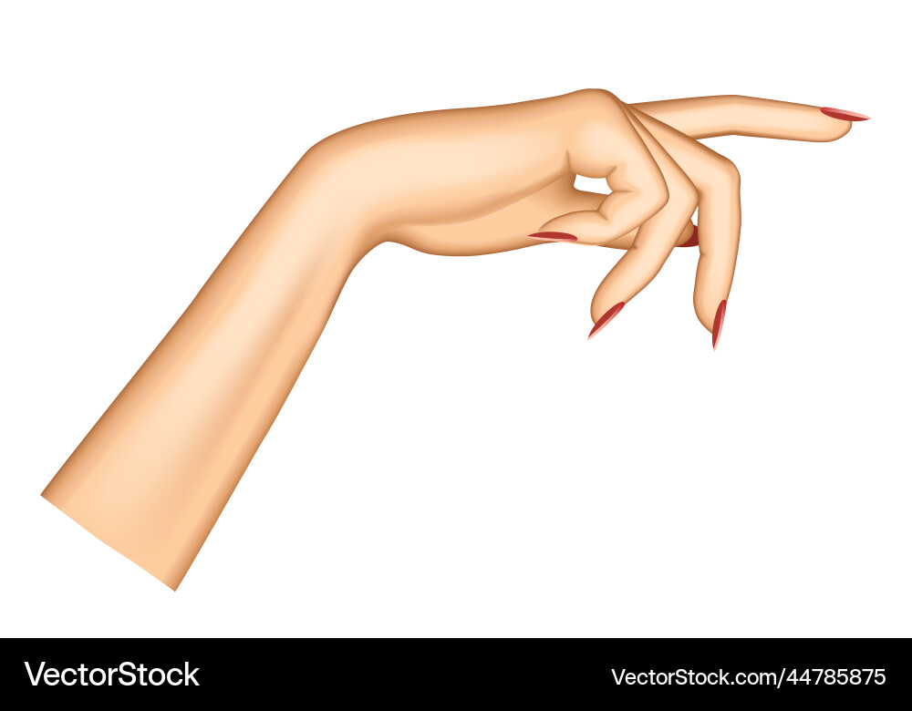 Female pointing hand isolated on white Royalty Free Vector