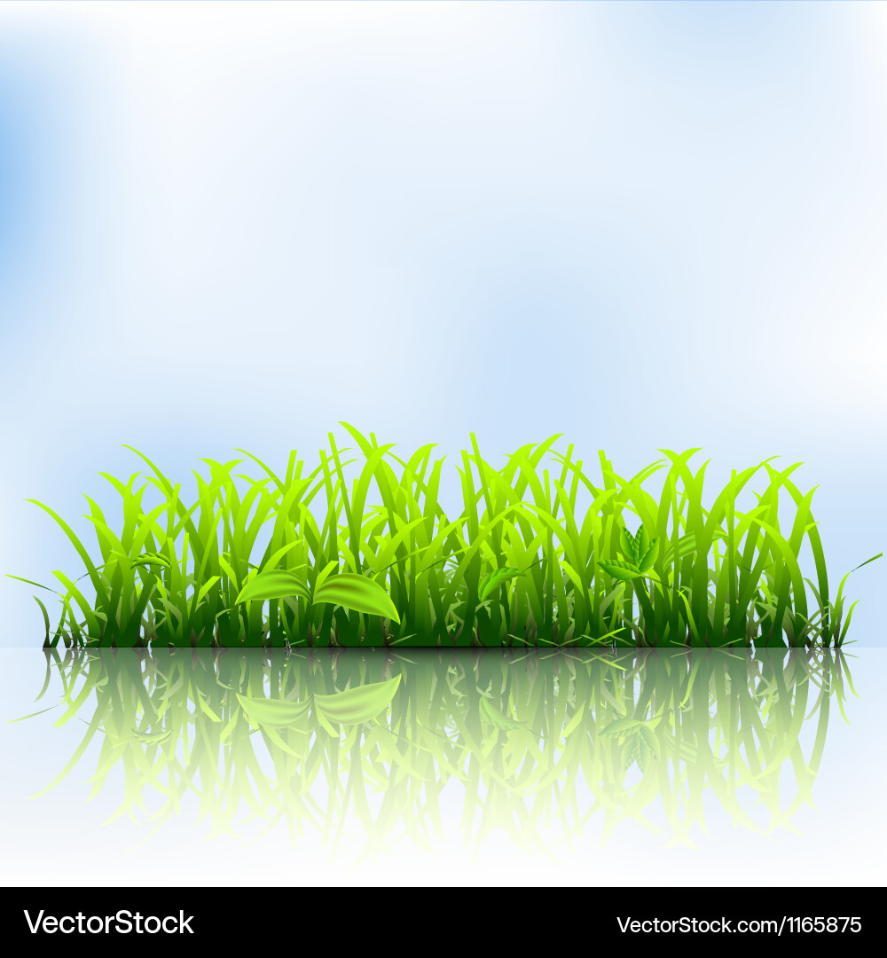 Green grass Royalty Free Vector Image - VectorStock
