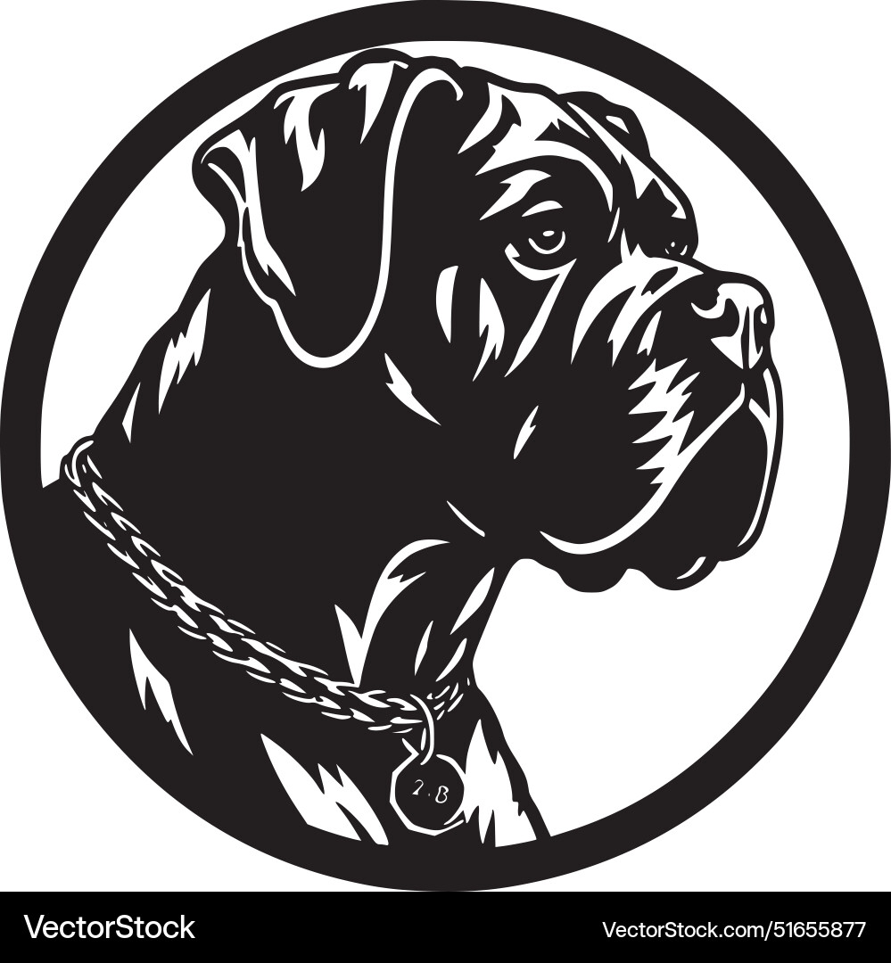 Boxer - black and white isolated icon Royalty Free Vector