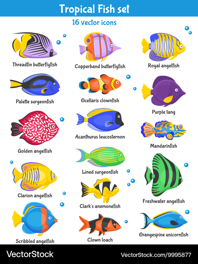Colorful Tropical Fish Icon Set – Royalty-Free Vector | VectorStock