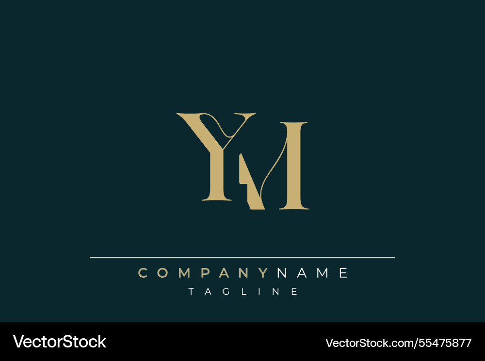 Ym abstract logo design Royalty Free Vector Image