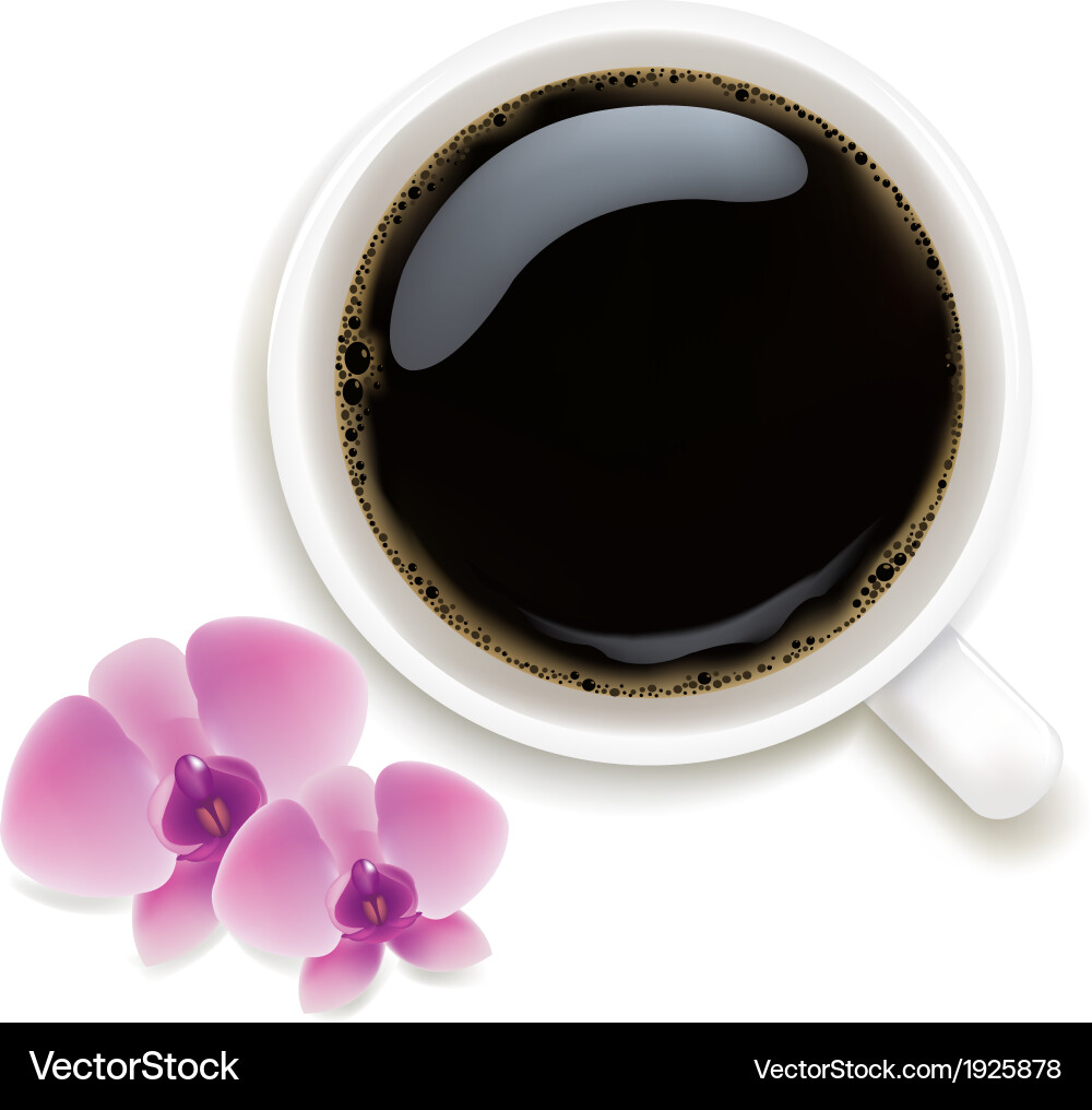 Cup of coffee with orchids Royalty Free Vector Image