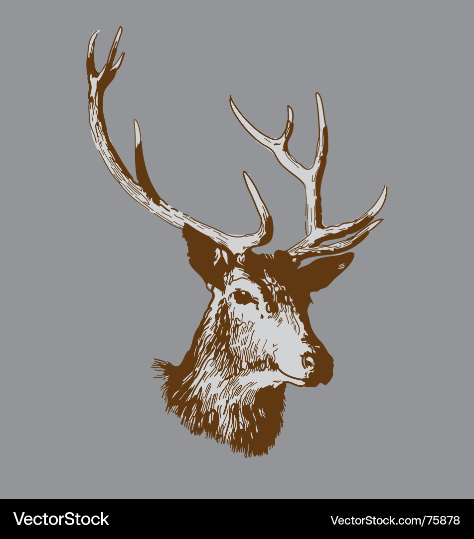 Deer head Royalty Free Vector Image - VectorStock