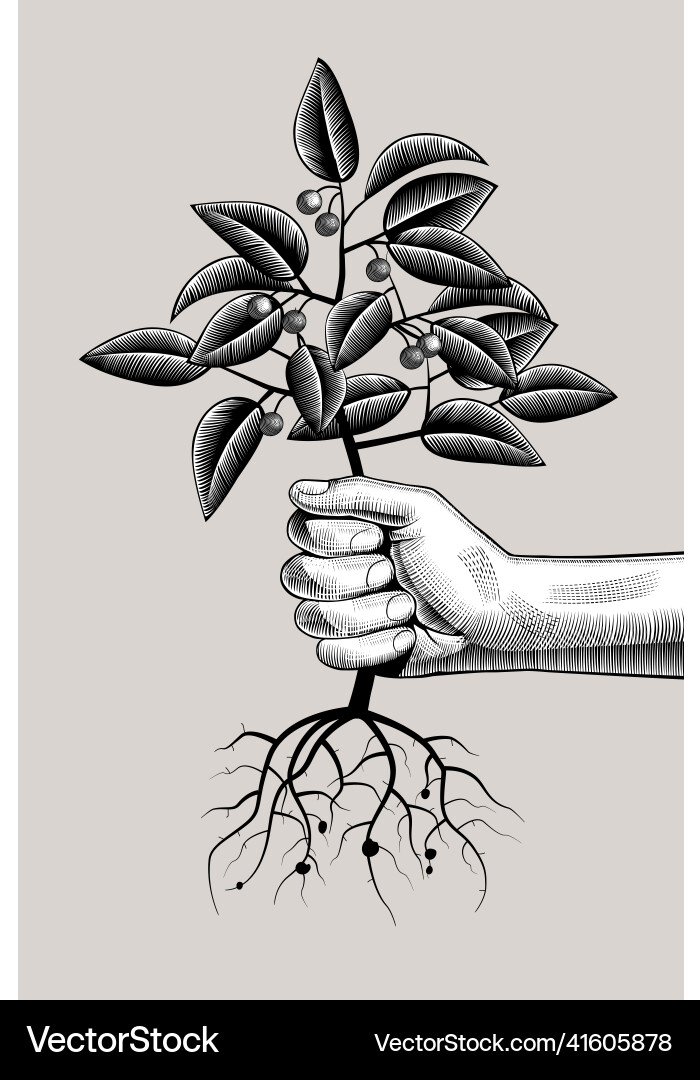 Hands Hold Up A Tree With Roots Clip Art