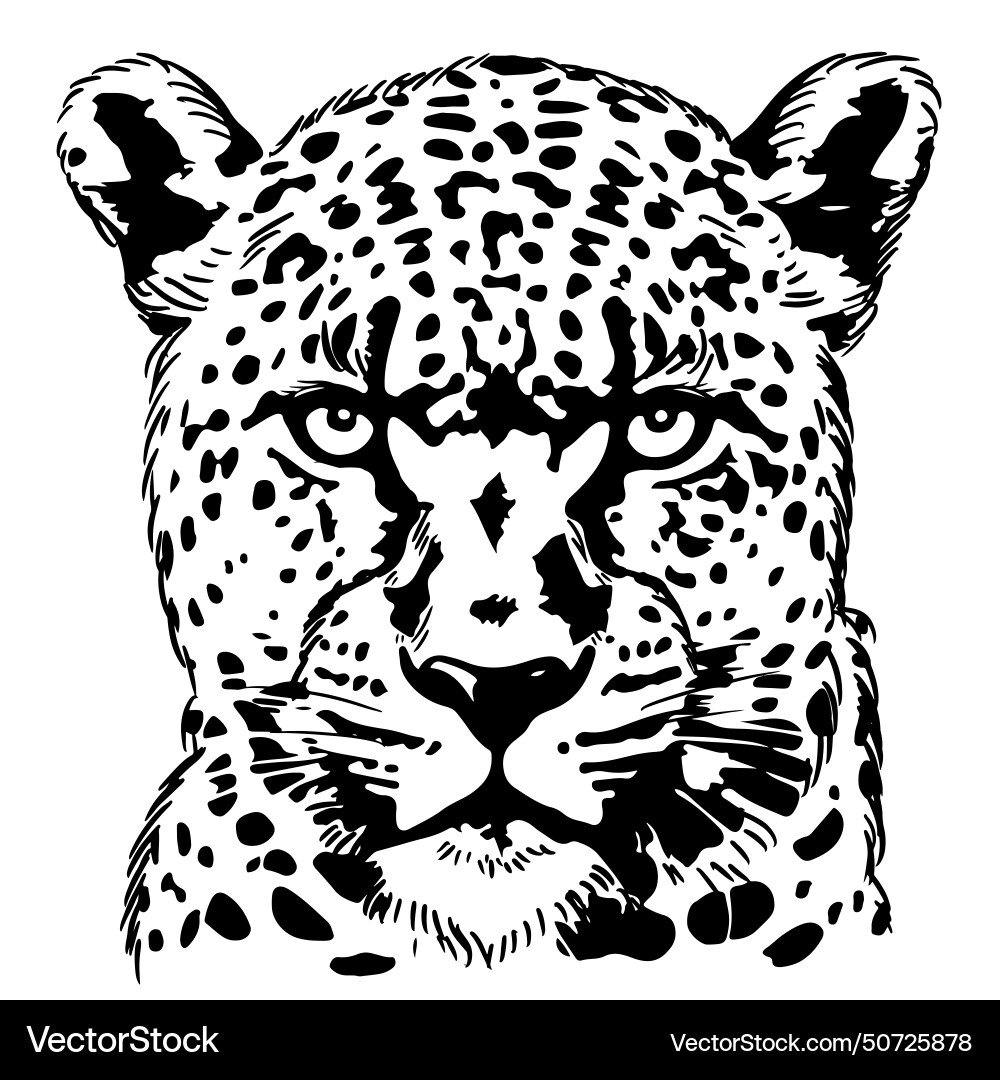 Portrait of leopard hand-drawn Royalty Free Vector Image