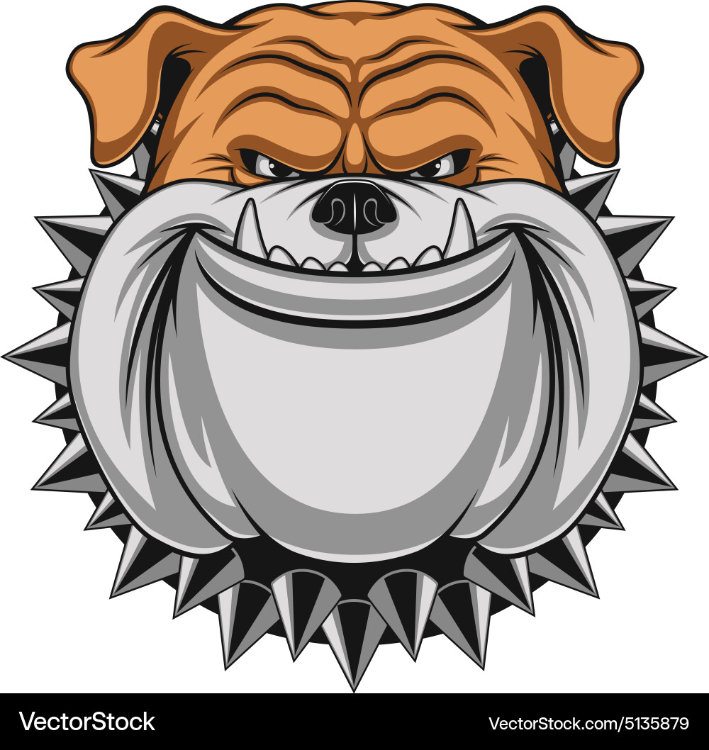 Angry Bulldog Head Royalty Free Vector Image - VectorStock