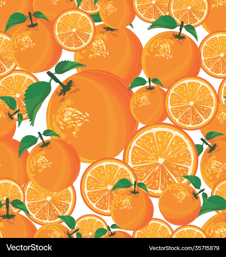 Orange Fruit Pattern Royalty Free Vector Image