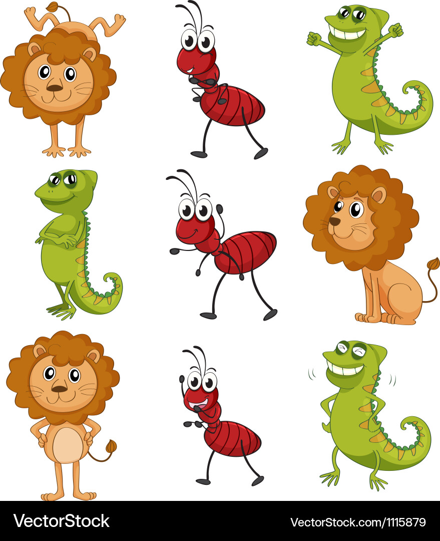 Various animals Royalty Free Vector Image - VectorStock