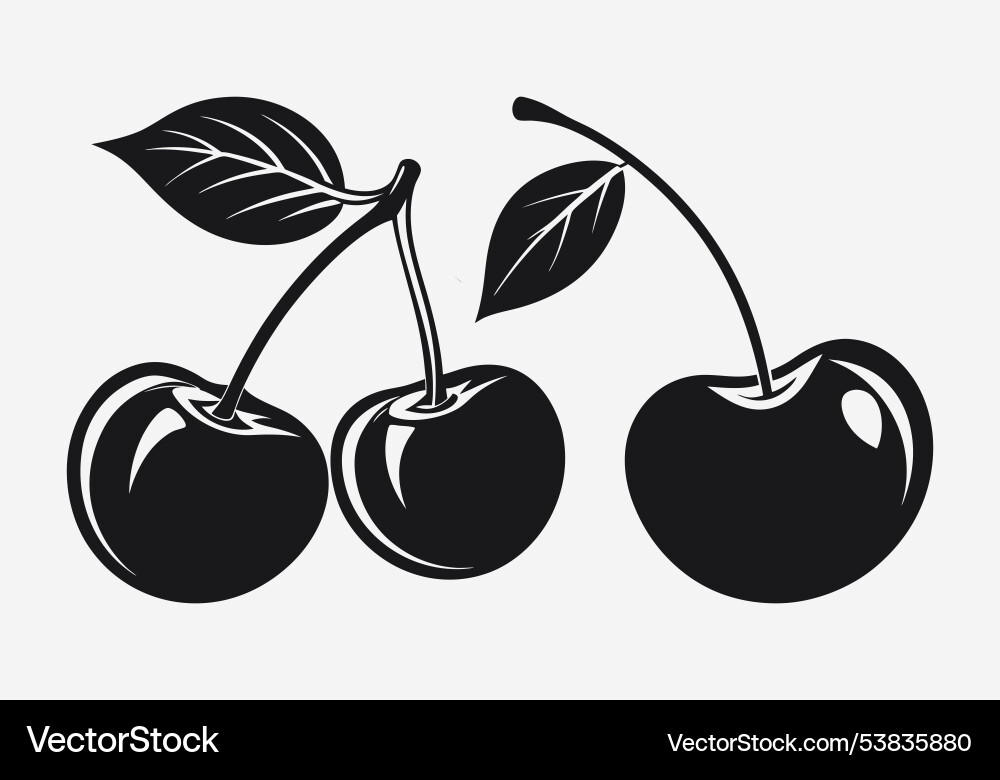 Cherry silhouette Royalty Free Vector Image - VectorStock