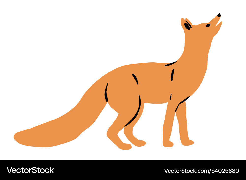 Cute cartoon looking up fox while hunting birds Vector Image