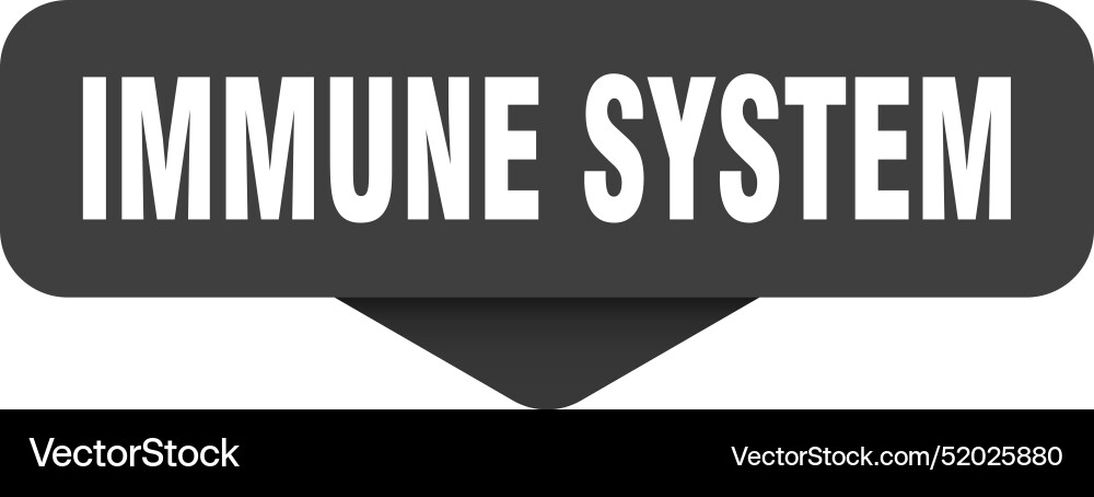 Immune system sticker sign Royalty Free Vector Image