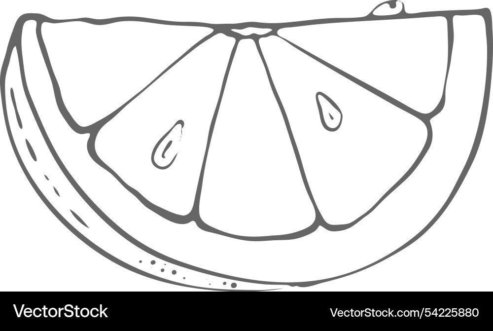 Slice of orange Royalty Free Vector Image - VectorStock