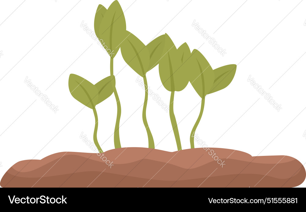 Five young plants growing from the ground Vector Image