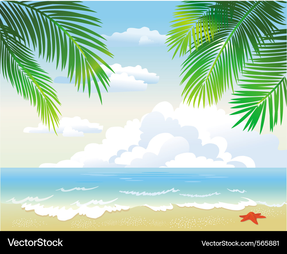Tropical beach Royalty Free Vector Image - VectorStock