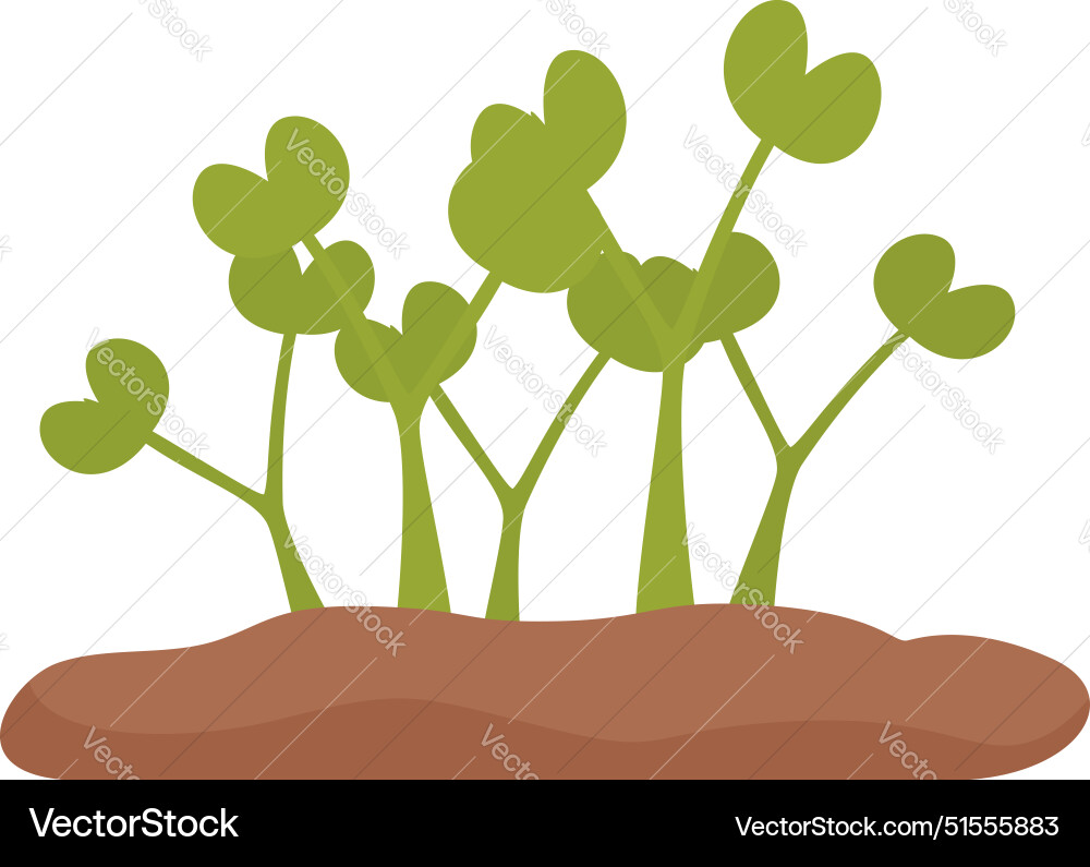 Small green plants growing from brown soil Vector Image