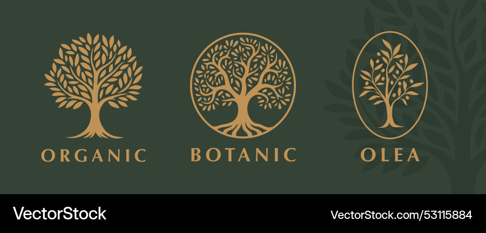 Elegant tree logo emblem set with organic design Vector Image