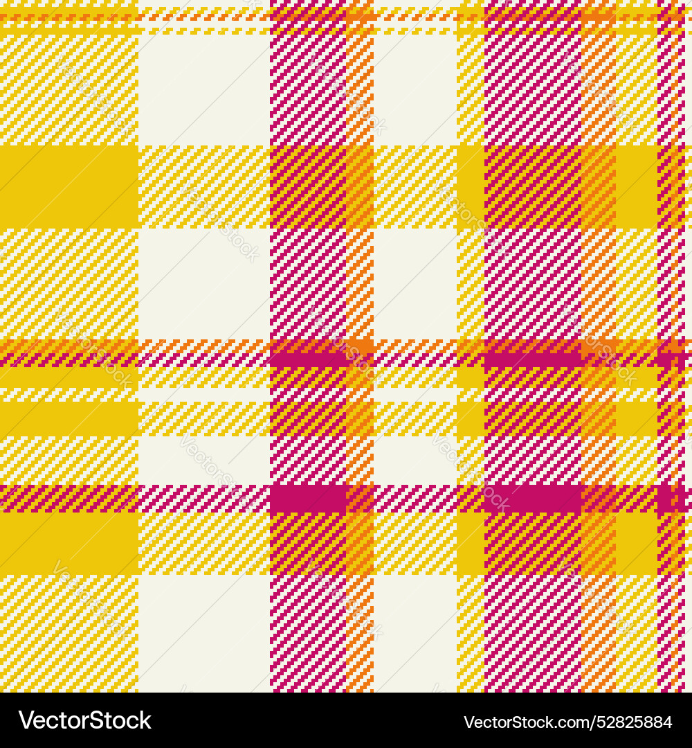 Fancy background plaid seamless warp pattern Vector Image