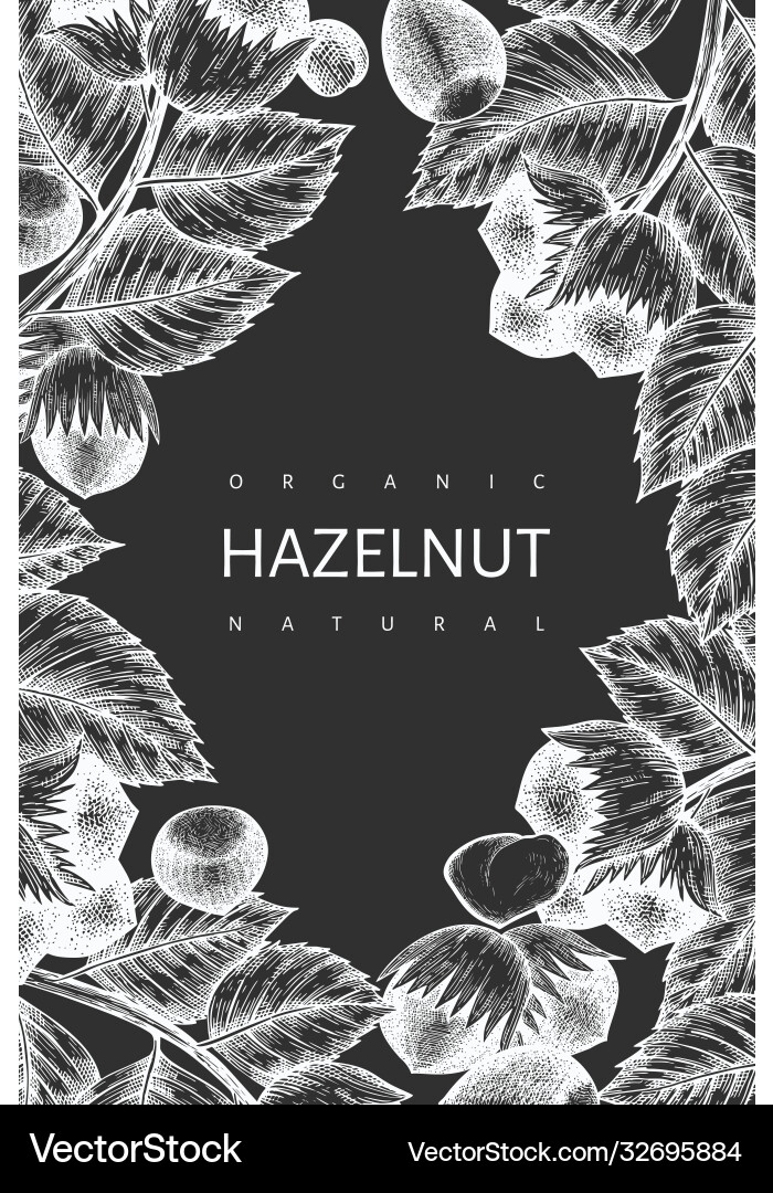 Hand drawn sketch hazelnut design template Vector Image