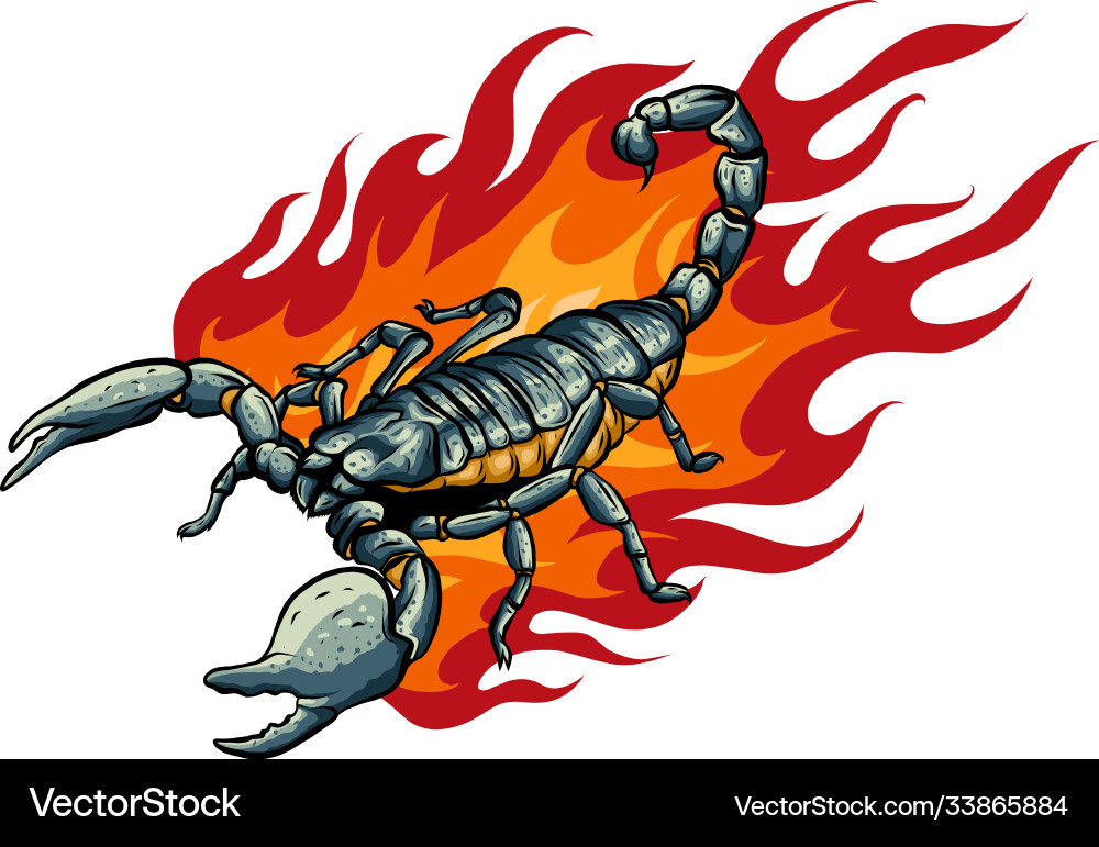 This scorpion with fire design Royalty Free Vector Image