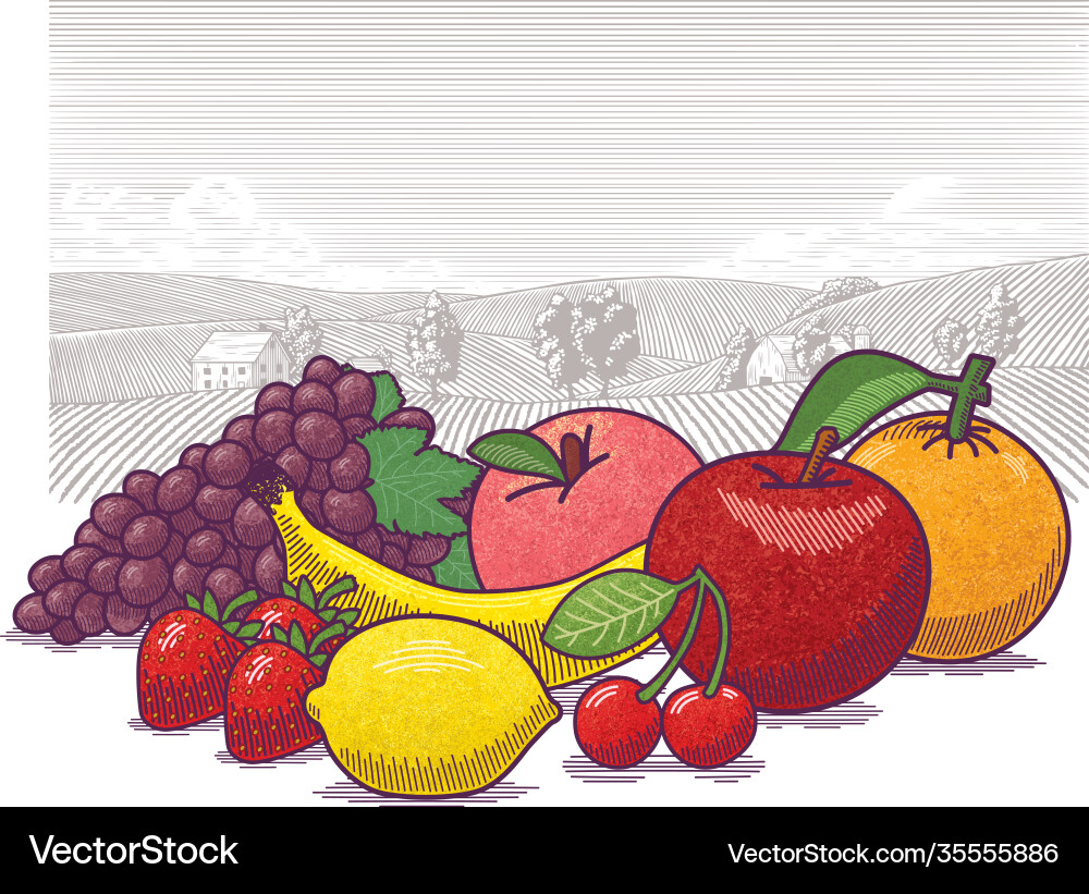 Fruit farm Royalty Free Vector Image - VectorStock