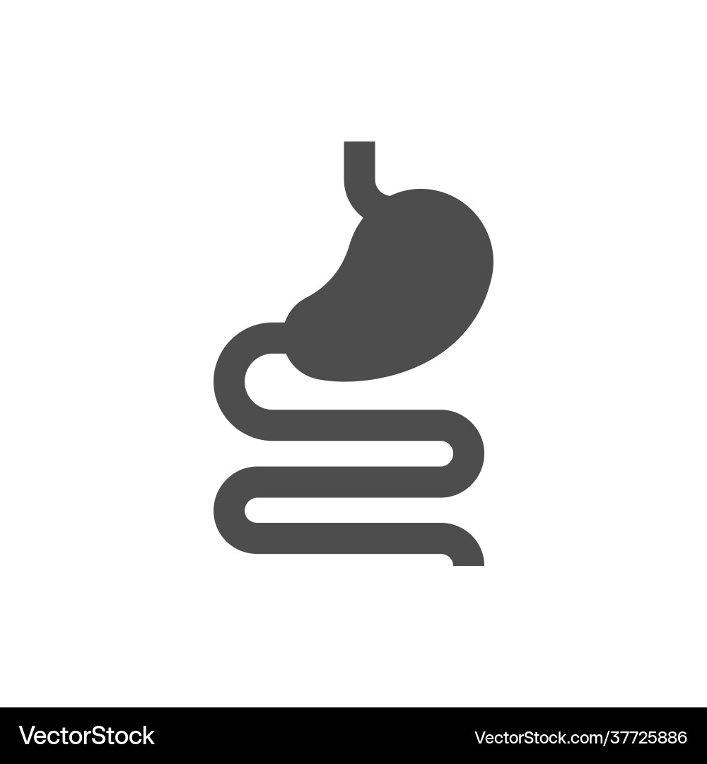 Human digestive system glyph icon Royalty Free Vector Image
