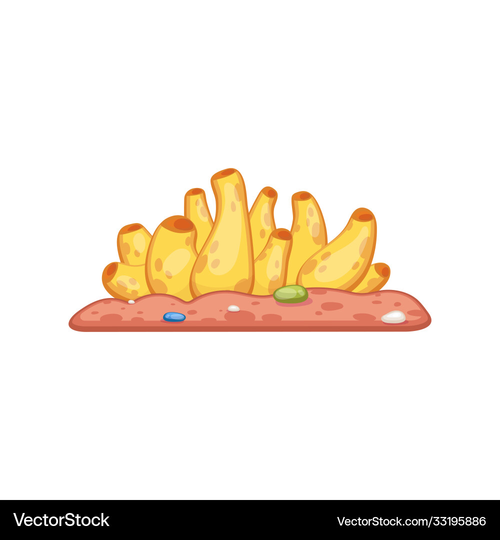 Underwater reef coral colony object cartoon Vector Image